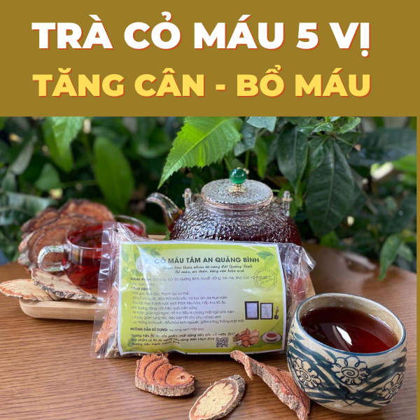 TRÀ CỎ MÁU 5 VỊ - TĂNG CÂN - BỔ MÁU - Oriviet Healthy Food